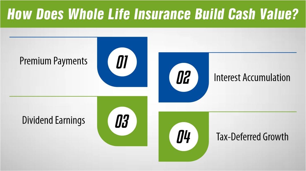 How Whole Life Insurance Builds Cash Value Over Time