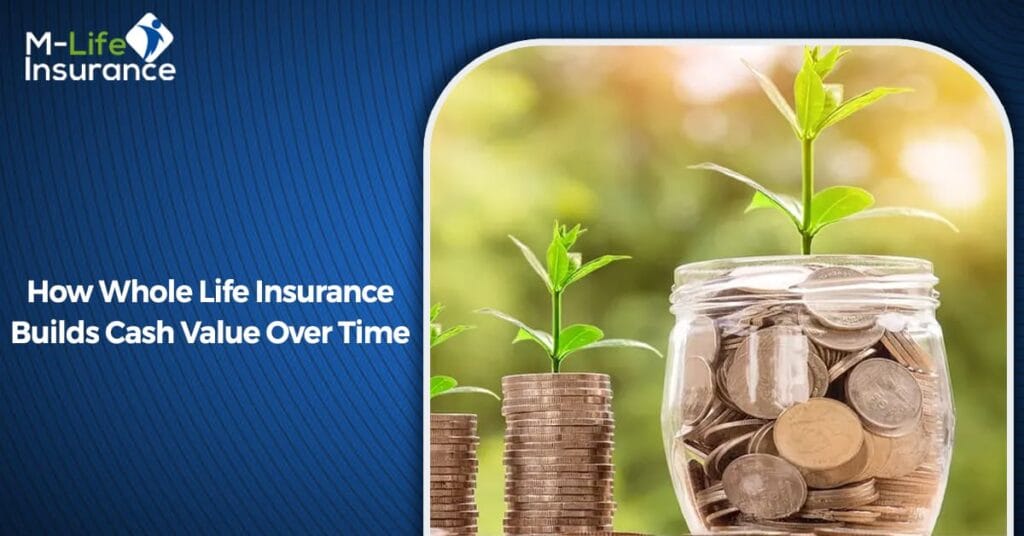 How Whole Life Insurance Builds Cash Value Over Time