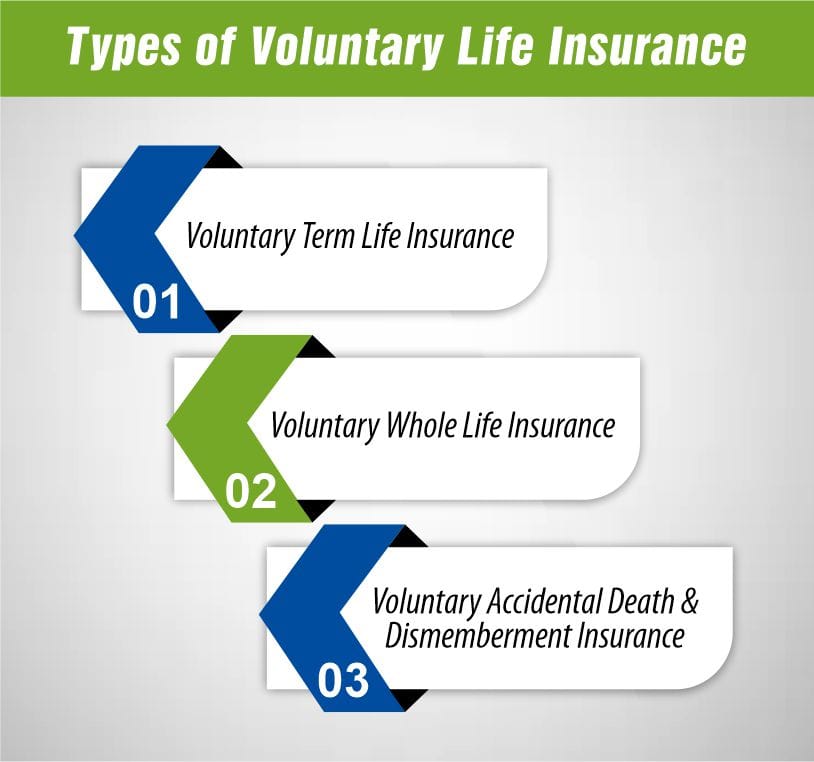 What is Voluntary Life Insurance? A Complete Guide 2025