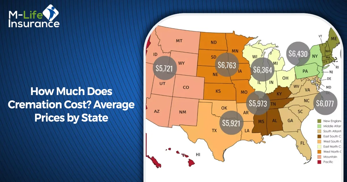 How Much Does Cremation Cost? Average Prices by State
