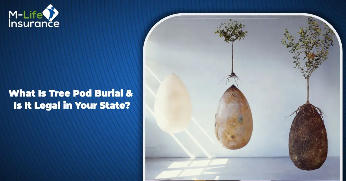 What Is Tree Pod Burial & Is It Legal in Your State?