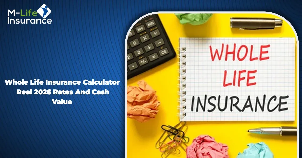 Whole Life Insurance Calculator: Real 2026 Rates And Cash Value